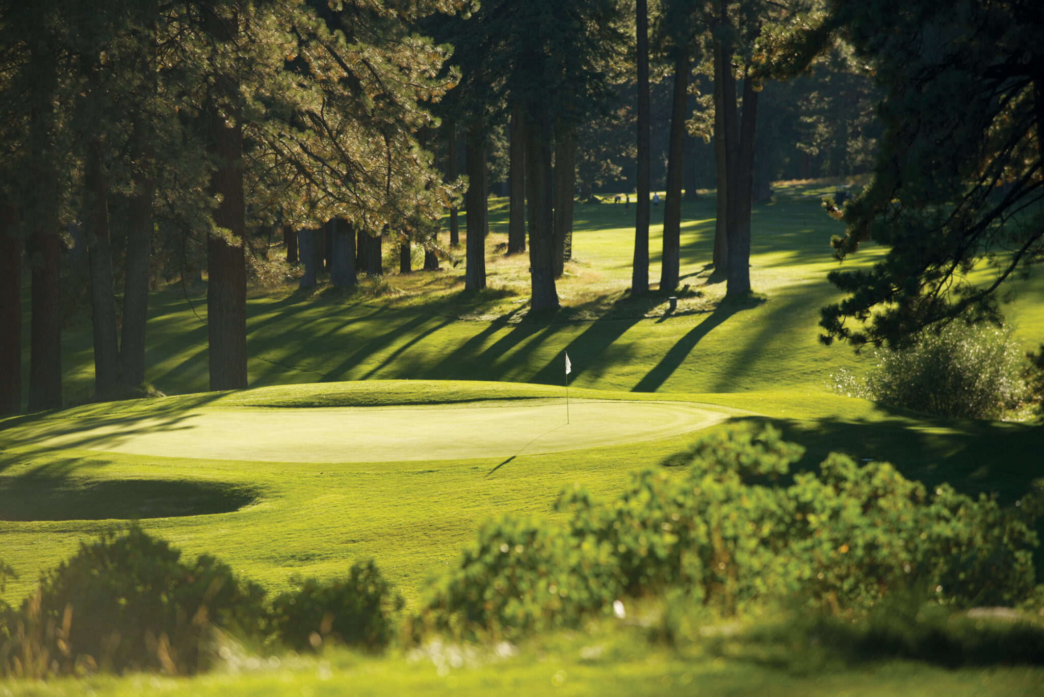 Nine of the Best Nine Hole Golf Courses in California | California Golf ...